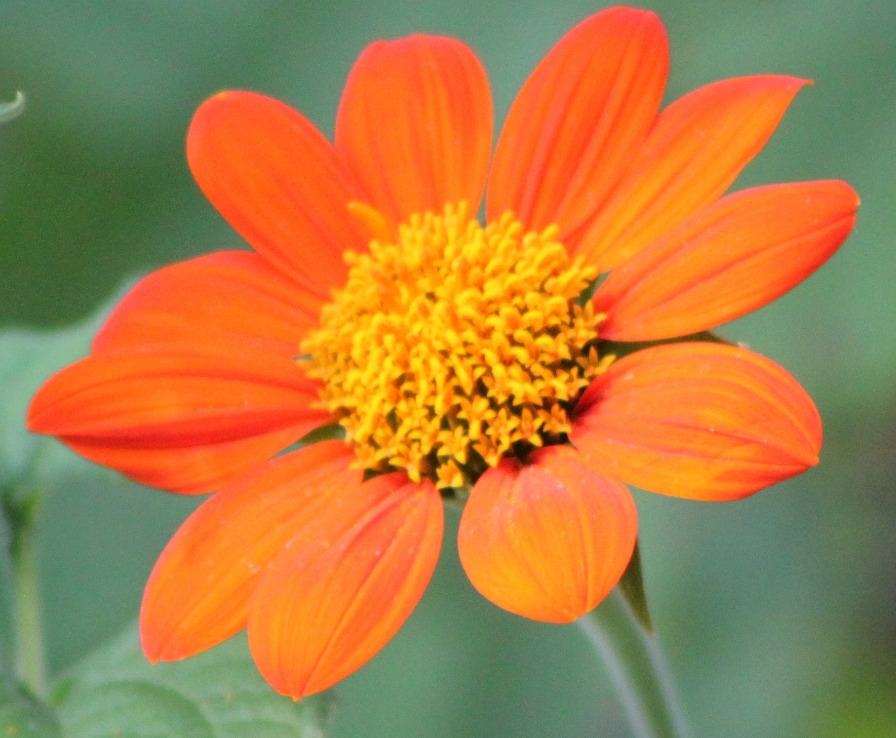 Schedule Your Free Breakthrough Call – Kim Messersmith