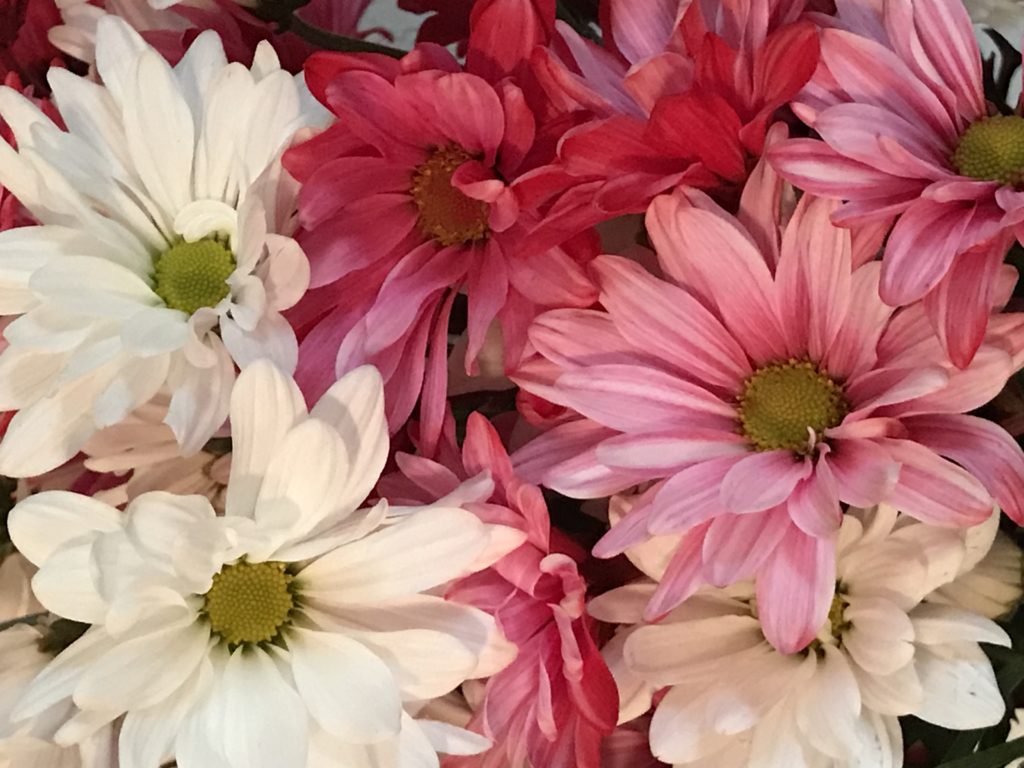 Happy Things – Kim Messersmith